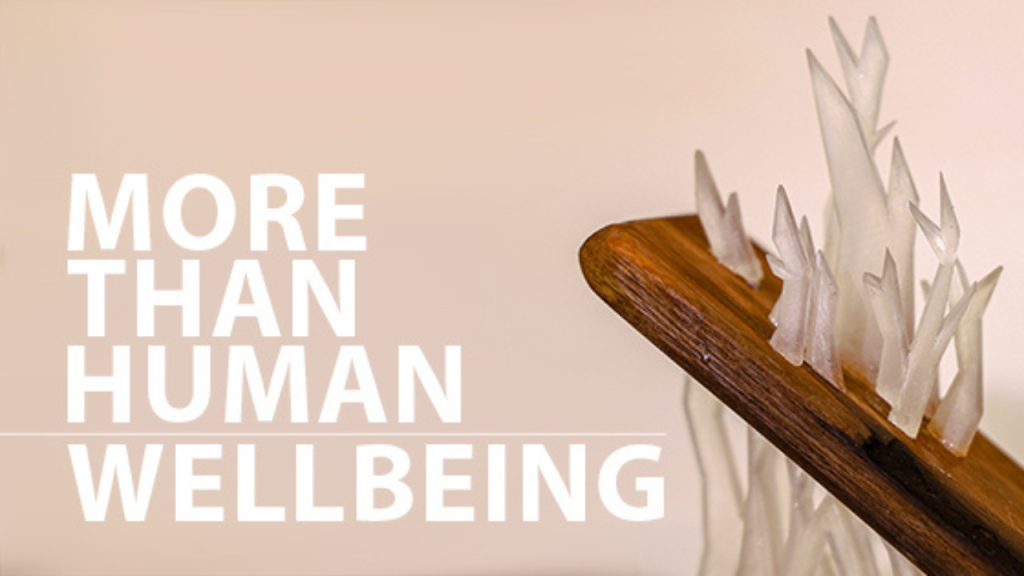 More-than-Human Wellbeing - ADM+S Centre